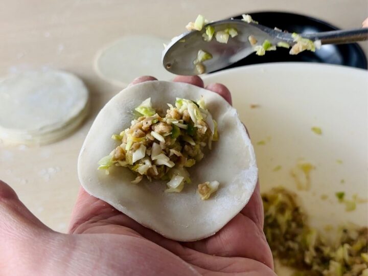 Vegan Gyoza with Shiitake Mushrooms and Vegetables