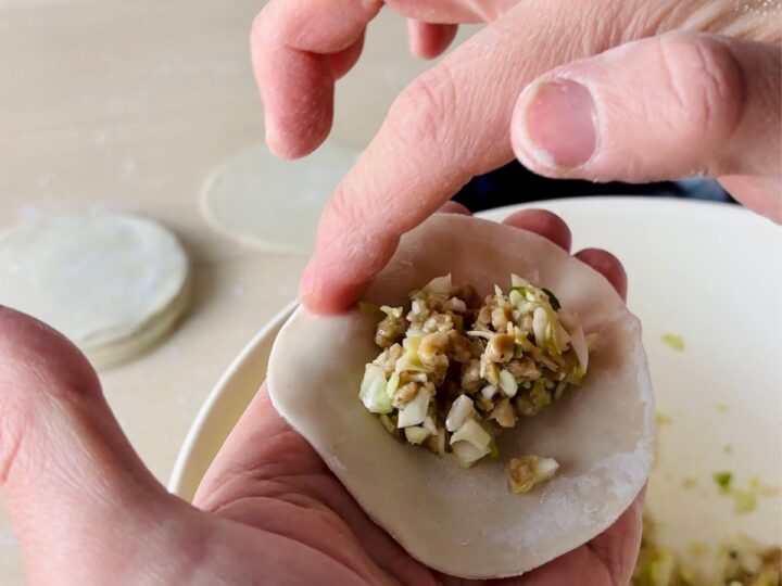 Vegan Gyoza with Shiitake Mushrooms and Vegetables